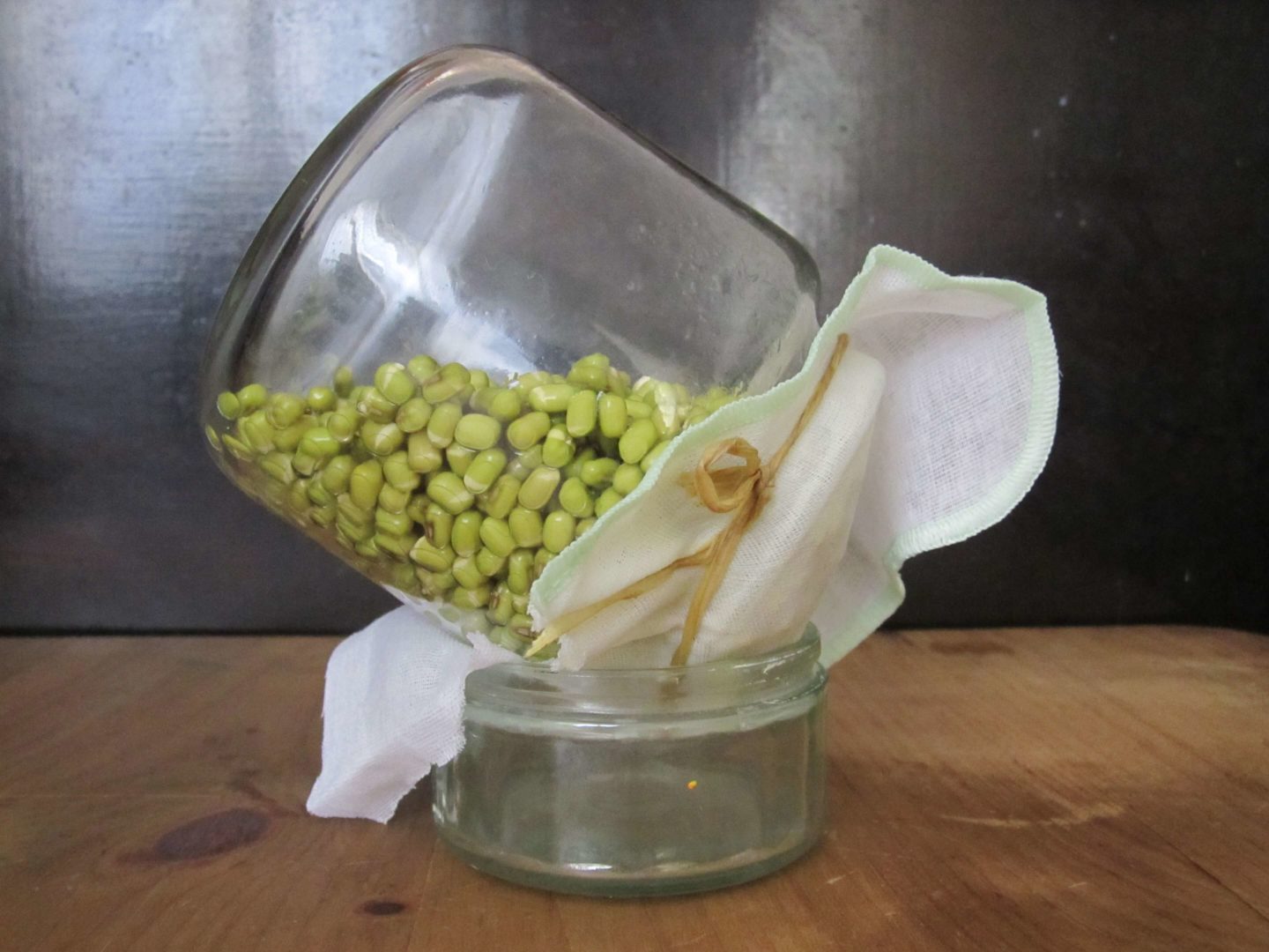 How do I start sprouting? | Organic Chick Peas | Forest Whole Foods